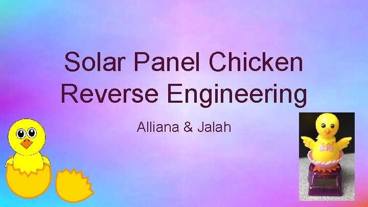 Solar Panel Chicken Reverse Engineering Alliana Jalah Visual
