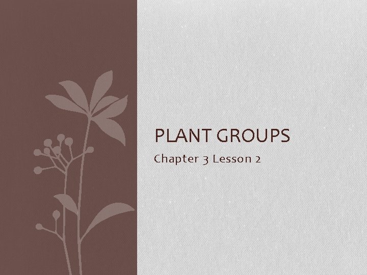 PLANT GROUPS Chapter 3 Lesson 2 What are