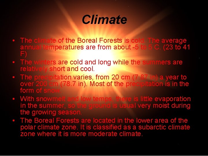 Boreal Forest Daniel Gage and Kevin Description and