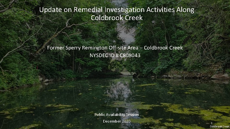 Update on Remedial Investigation Activities Along Coldbrook Creek