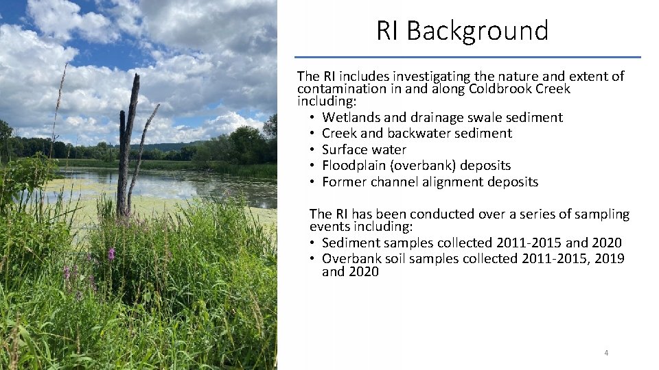 Update on Remedial Investigation Activities Along Coldbrook Creek