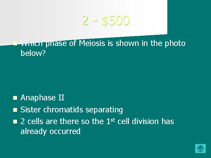 Exam 5 Jeopardy Picture Practice Mitosis Meiosis Genetics