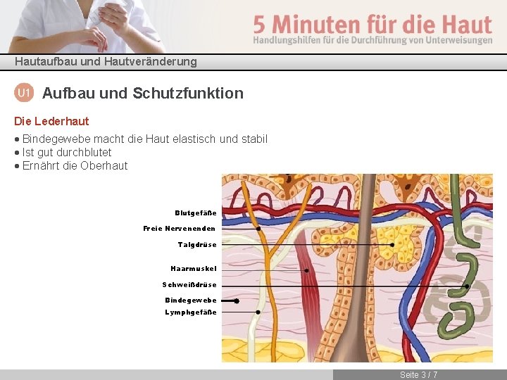 Hautaufbau und Hautvernderung Aufbau und Schutzfunktion Seite 1