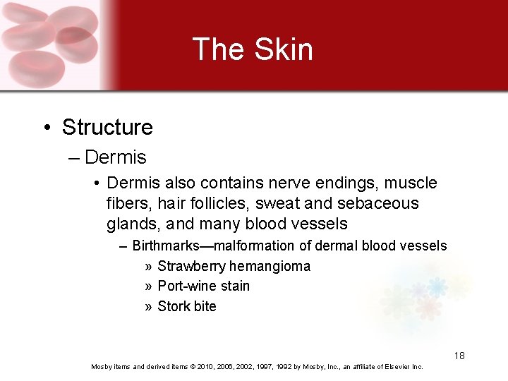 Chapter 6 The Integumentary System and Body Membranes
