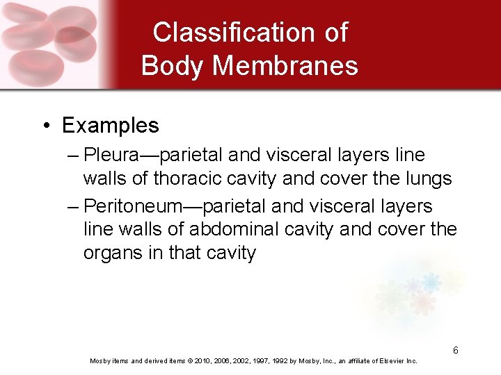 Chapter 6 The Integumentary System and Body Membranes