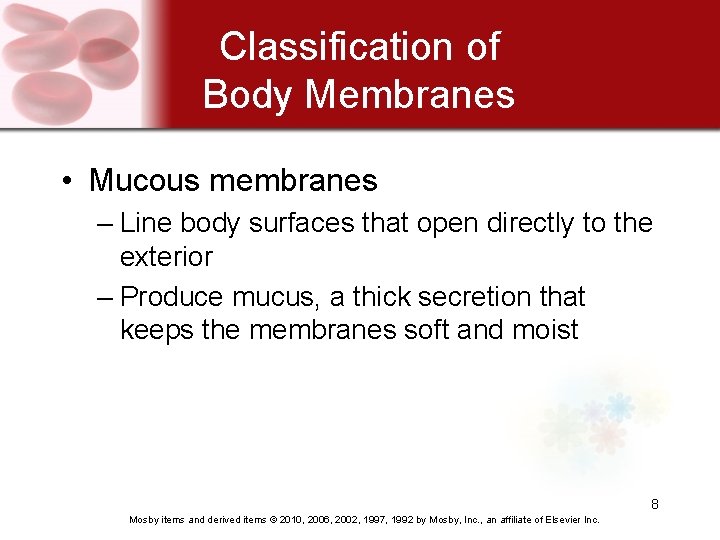 Chapter 6 The Integumentary System and Body Membranes