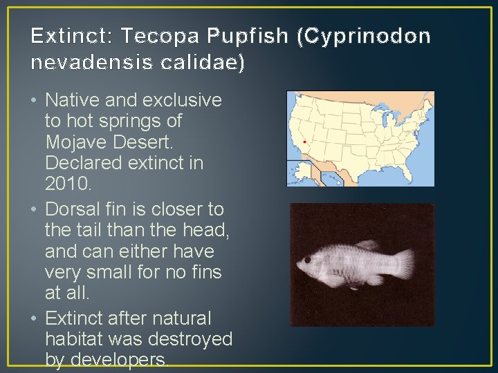 Invasive Keystone Indicator Extinct Endangered and Threatened Species