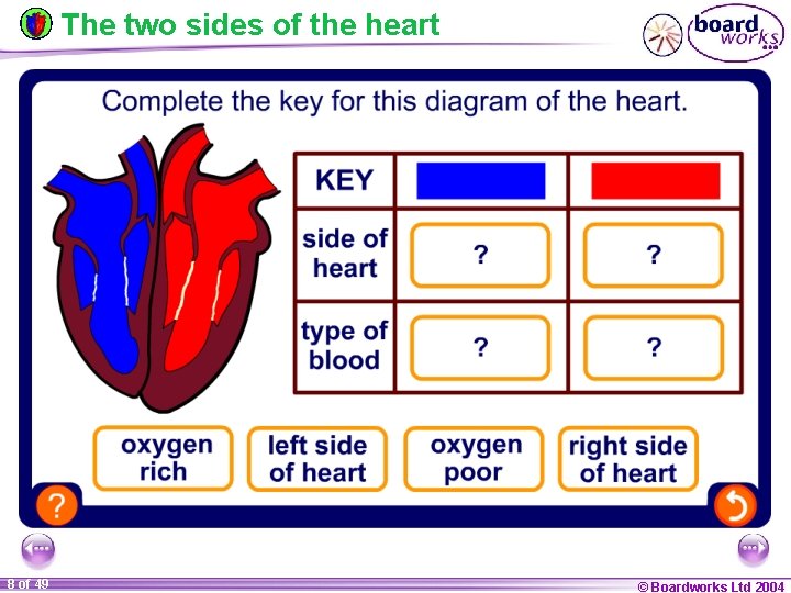 KS 4 Biology The Heart and Circulatory System