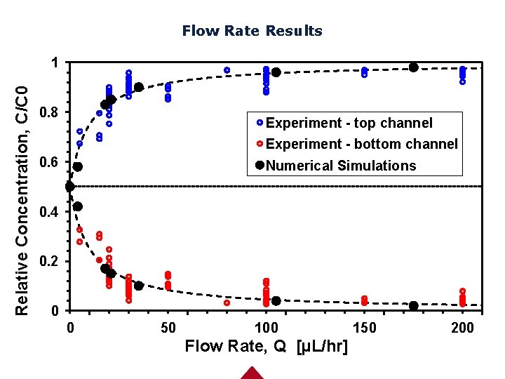 Diffusion of Biospecies within a Lungonachip Device Victor