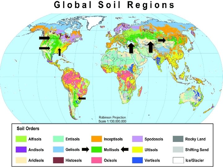 MOLLISOLS from the Latin mollis soft CHARACTERISTICS v