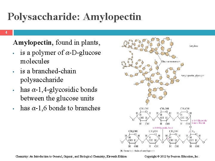 Chapter 13 Carbohydrates 1 13 6 Polysaccharides Chemistry