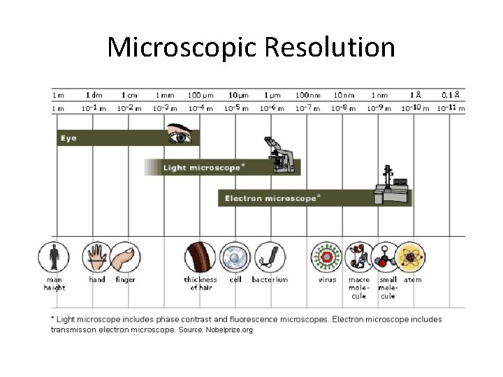 Pre AP Biology Types of Cells and Cell