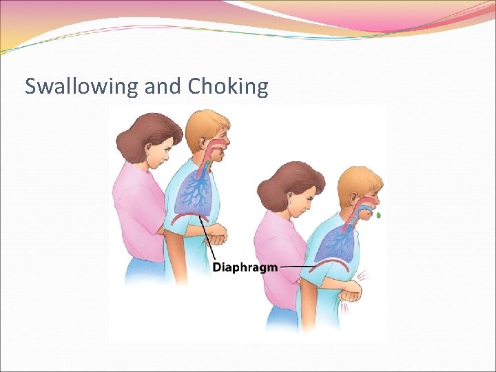 Chapter 3 Digestion From Meal to Molecule DEFINATIONS
