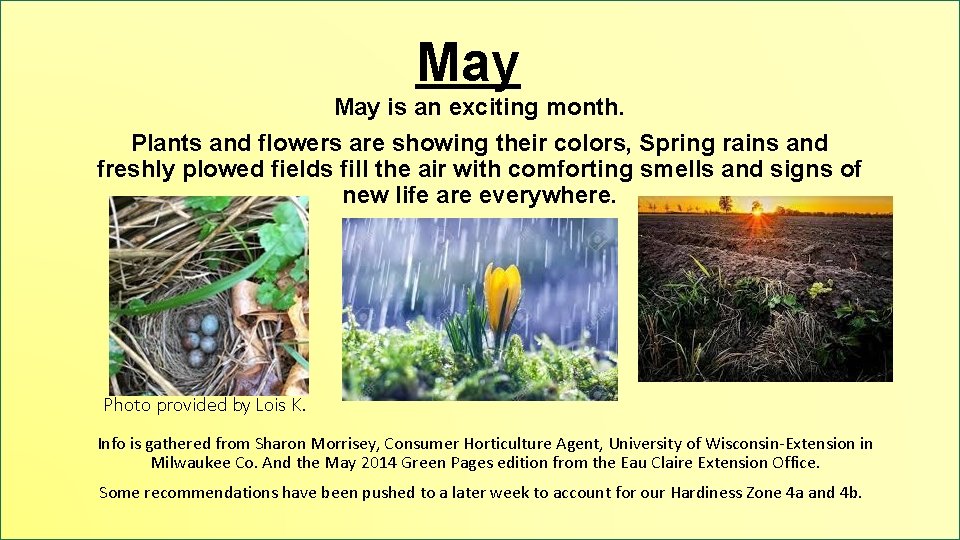 May is an exciting month Plants and flowers