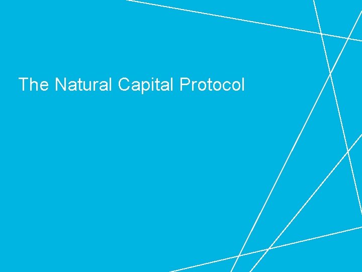 Application of the Natural Capital Protocol to LandBased