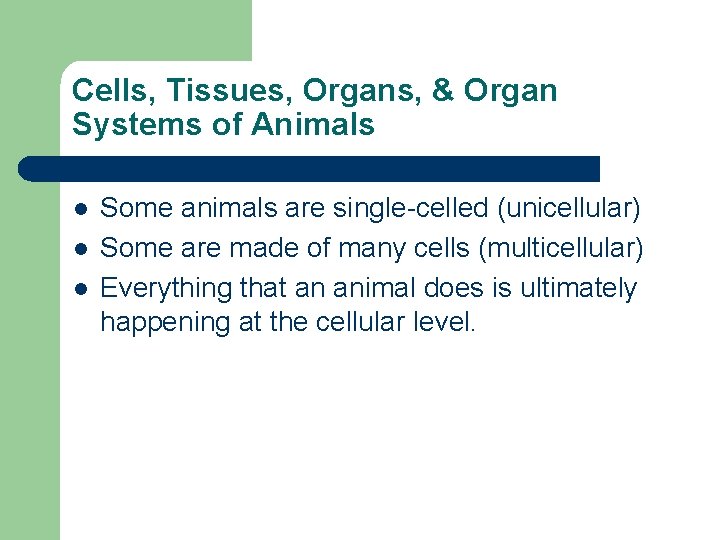 CELLULAR ORGANIZATION Cells Tissues Organs Organ Systems of