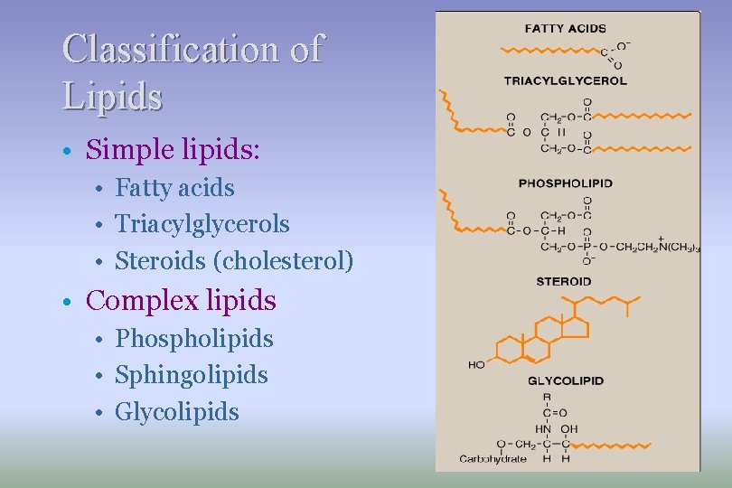 Lipids of Physiological Significance Dr Sumbul Fatma Objectives
