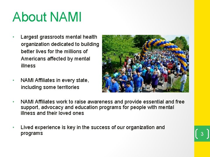 NAMI Ending the Silence Program Developed by Brian