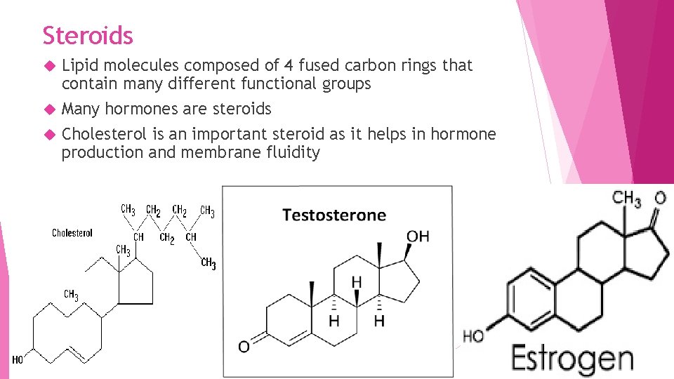 Lipids Lipids the Low Down Composed of carbon