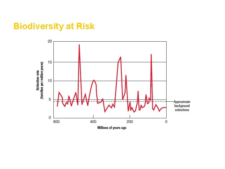 Biodiversity Section 2 Objectives Define and give examples