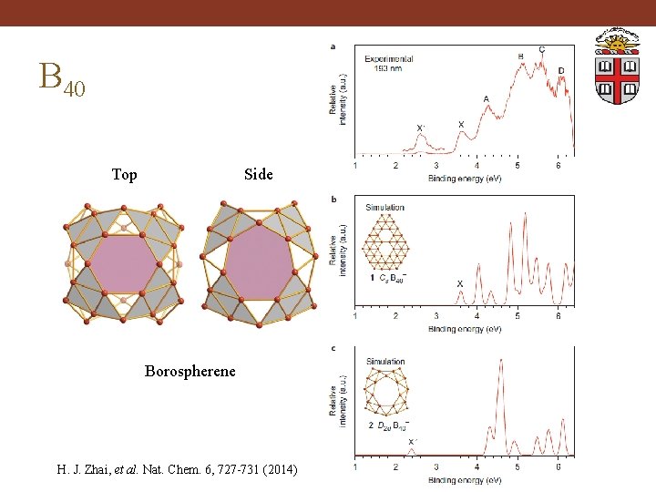 Probing the Structures of Neutral B 11 and