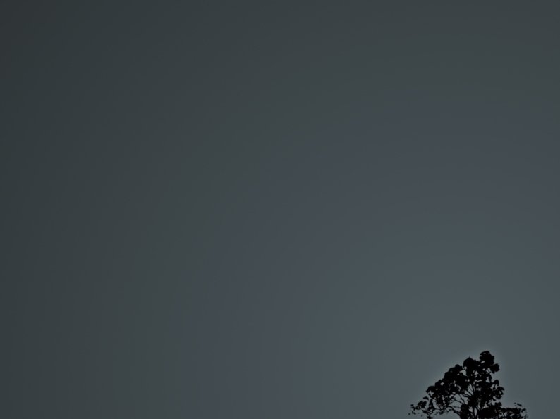 New Groups Ruben Arauz Angelica Ruelas Frank Macaluso