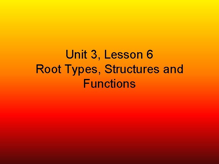 Unit 3 Lesson 6 Root Types Structures and