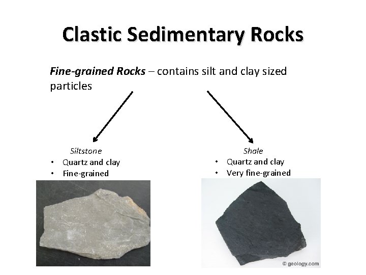 Types of Sedimentary Rocks 8 th Grade Earth