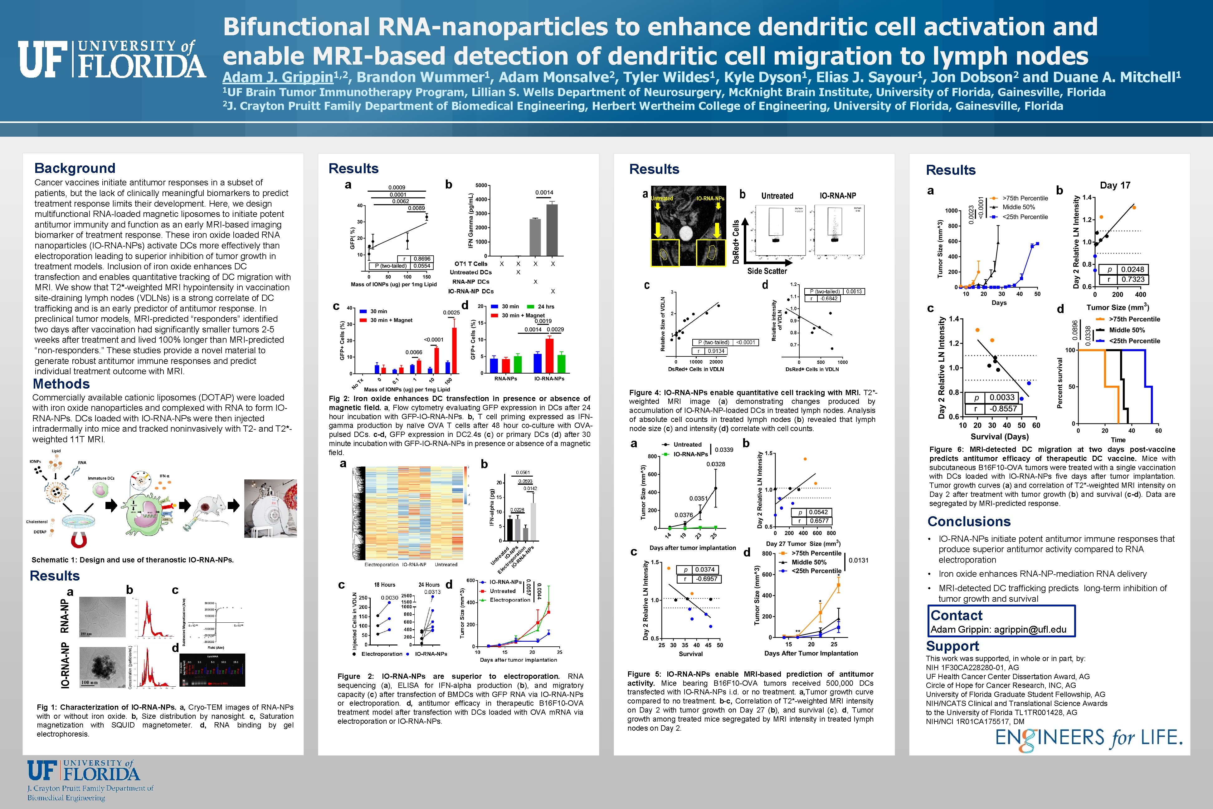 Bifunctional RNAnanoparticles to enhance dendritic cell activation and