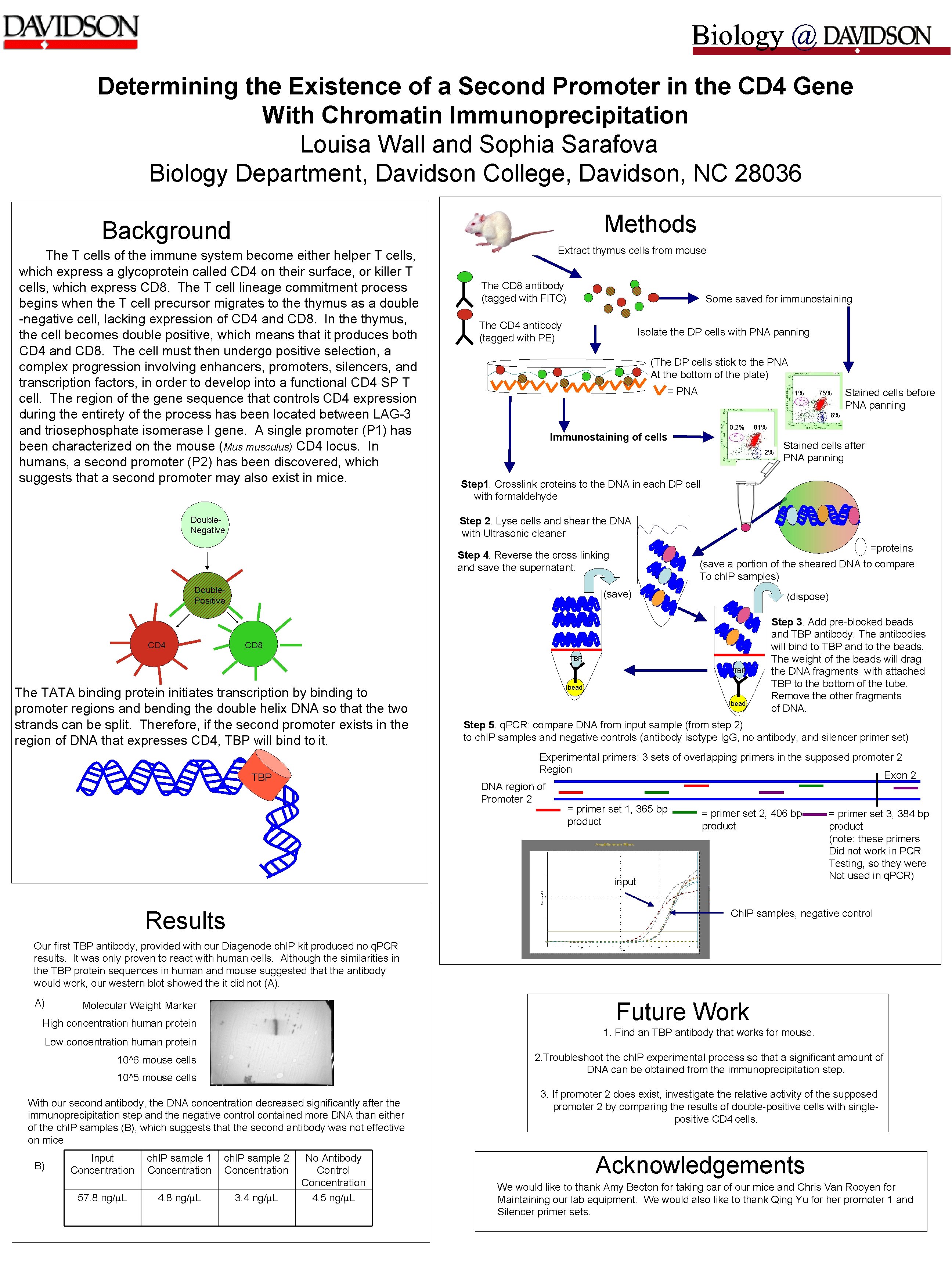 Determining the Existence of a Second Promoter in