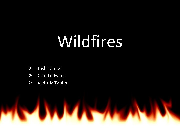 Wildfires Josh Tanner Camille Evans Victoria Taufer Surface