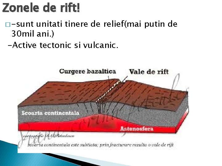 MARELE RIFT AFRICAN Zonele de rift sunt unitati