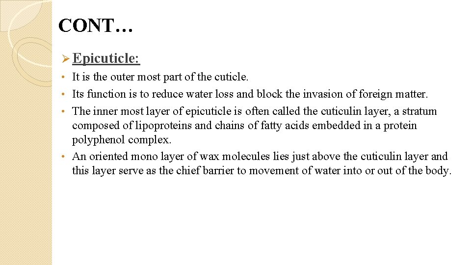 INTRODUCTION An exoskeleton is an external skeleton that