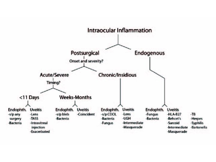 Postoperative uveitis Ahmad Jahanbakhshi MD TASS Chronic Endophthalm