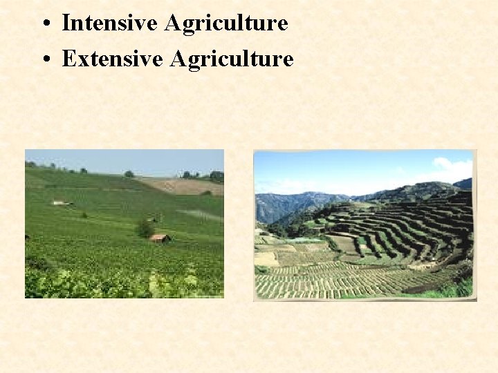 SUSTAINABLE AGRICULTURE ORGANIC FARMING Adithi M X standard