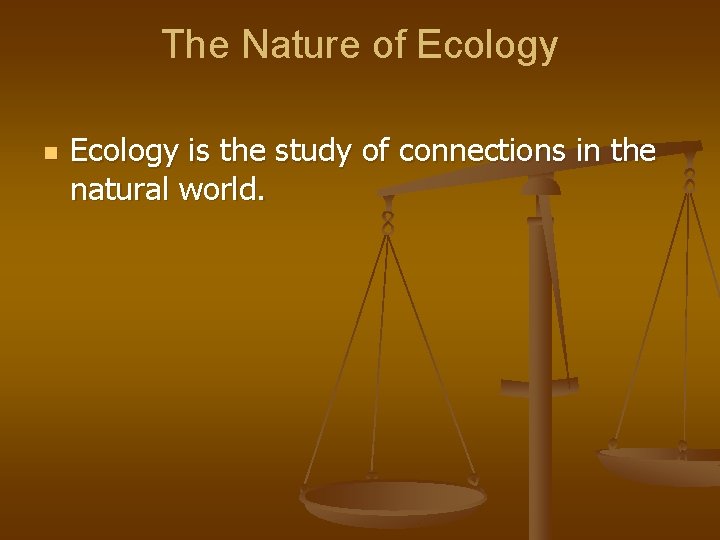 The Nature of Ecology n Ecology is the