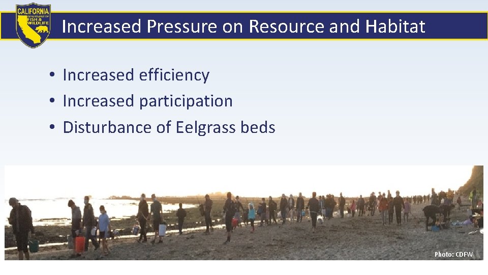 Emergency Regulation Recreational Clams Sand Crabs and Shrimp