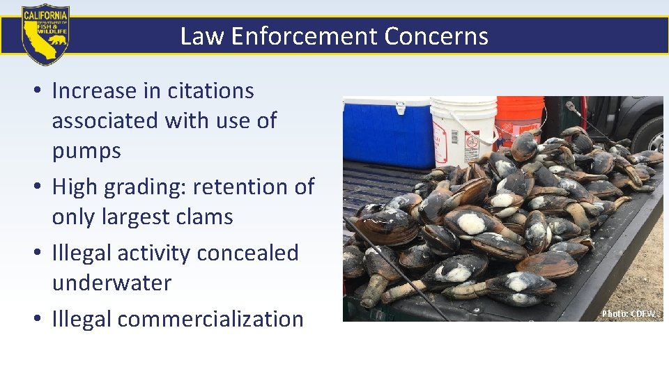 Emergency Regulation Recreational Clams Sand Crabs and Shrimp