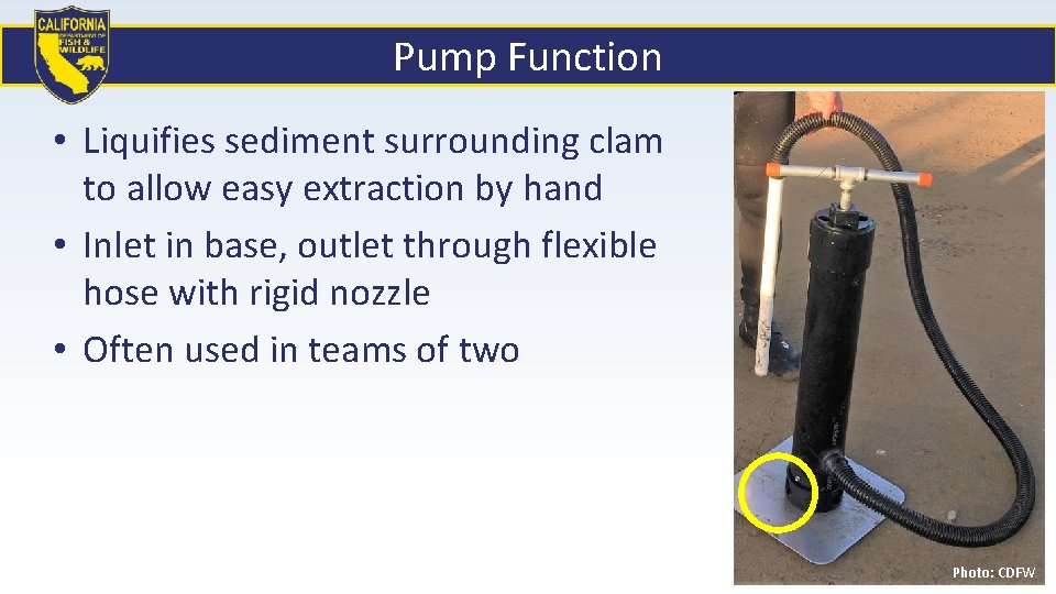 Emergency Regulation Recreational Clams Sand Crabs and Shrimp