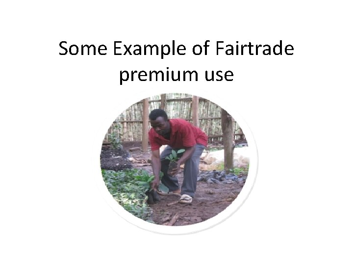 Some Example of Fairtrade premium use Kibinge Coffee