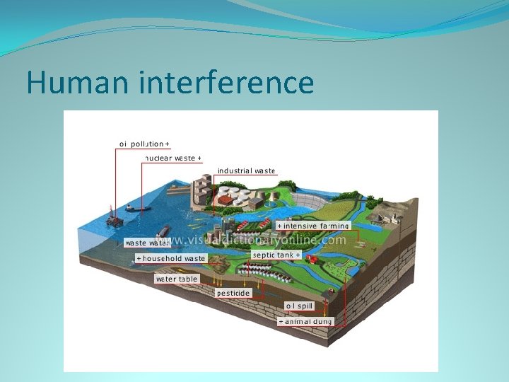 Deep Oceans By Joshua SOME FACTS ABOUT DEEP