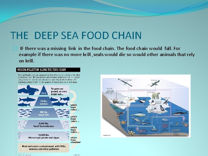 Deep Oceans By Joshua SOME FACTS ABOUT DEEP