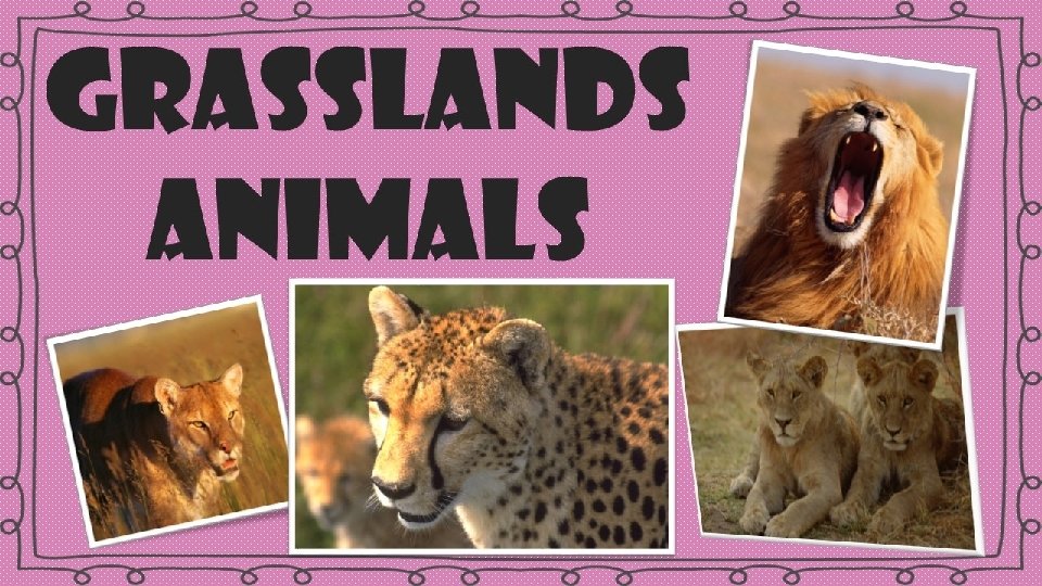 Habitats LI To identify habitats Habitats A habitat