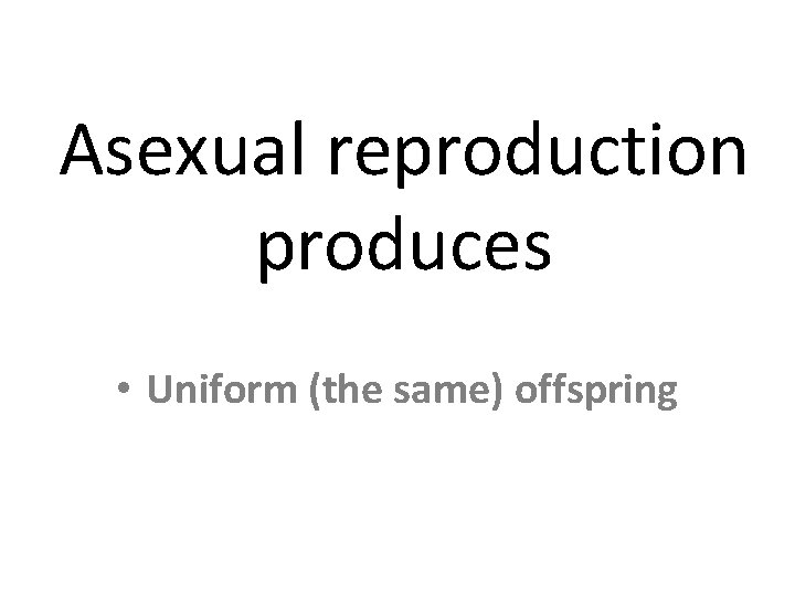 What is speed The distance an object travels