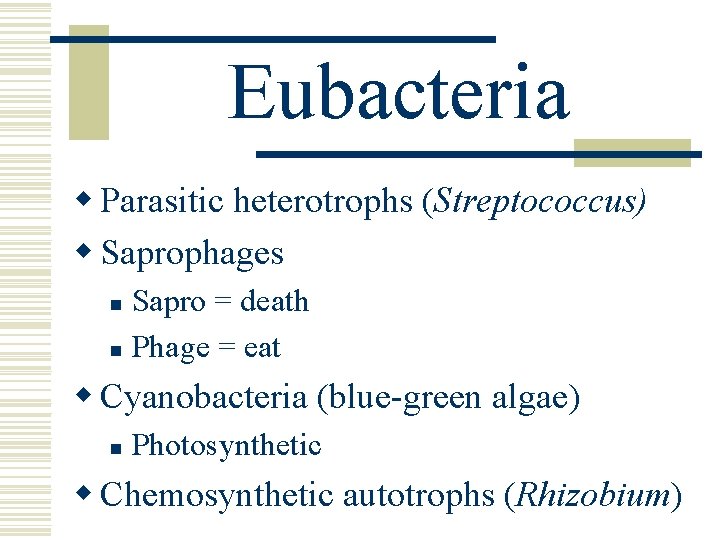 Bacteria Our invisible friends Germ Theory of Disease