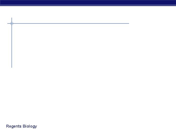 Cell Membranes Movement Across Them Regents Biology 2006