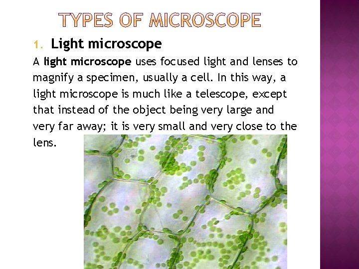 BIOLOGY FOR CLASS IX Class IX Structural Organization