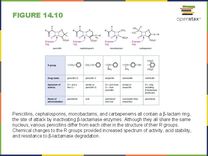 MICROBIOLOGY Chapter 14 ANTIMICROBIAL DRUGS FIGURE 14 1