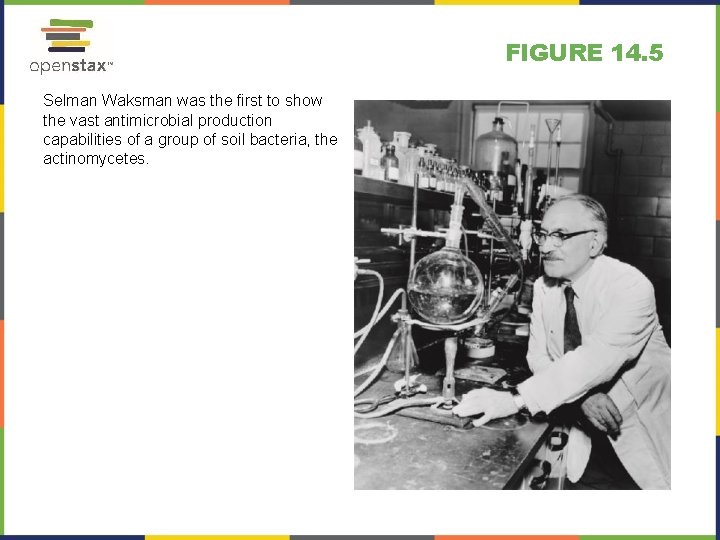 MICROBIOLOGY Chapter 14 ANTIMICROBIAL DRUGS FIGURE 14 1