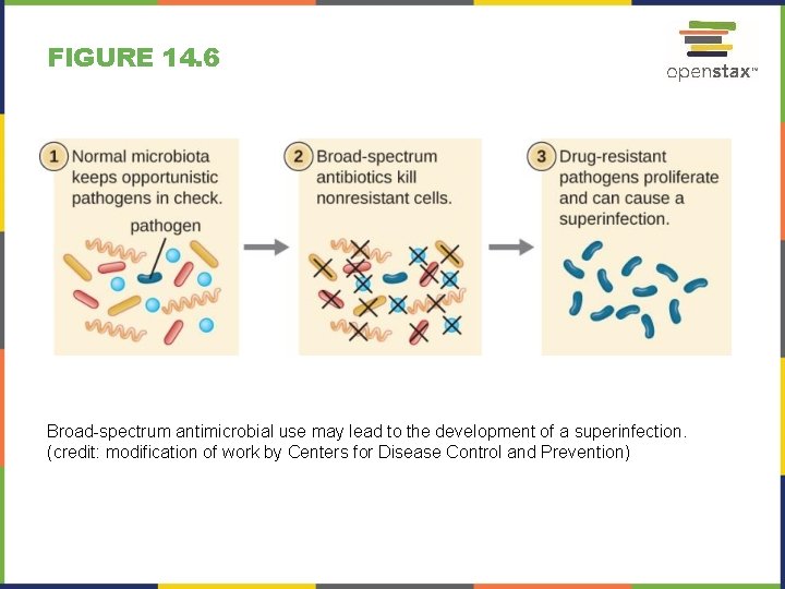 MICROBIOLOGY Chapter 14 ANTIMICROBIAL DRUGS FIGURE 14 1